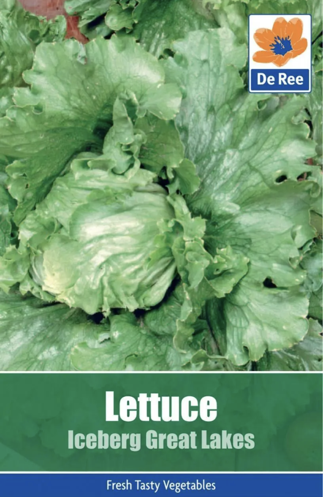 De Ree Lettuce Iceberg Great lakes Seeds – Coopers Of Barnet