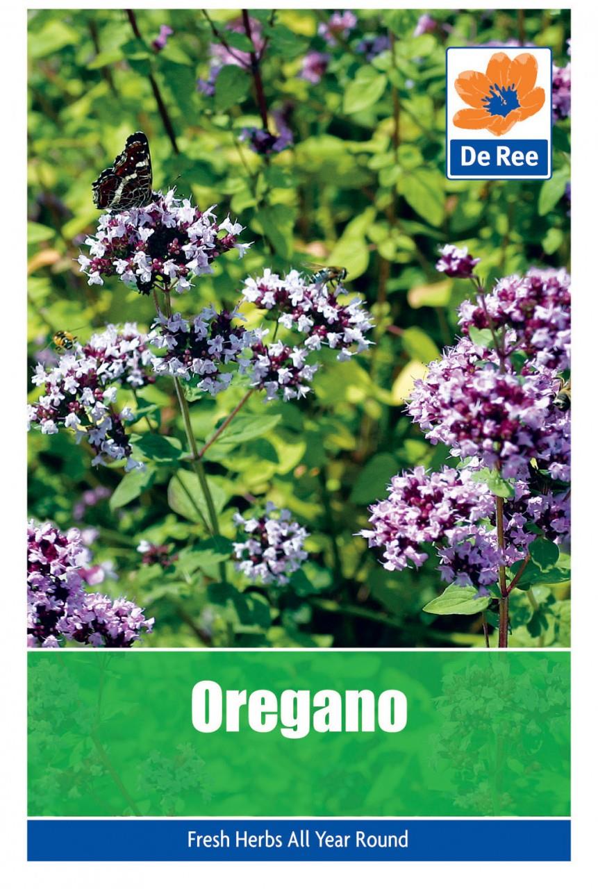 De Ree Oregano fresh herbs Seeds – Coopers Of Barnet